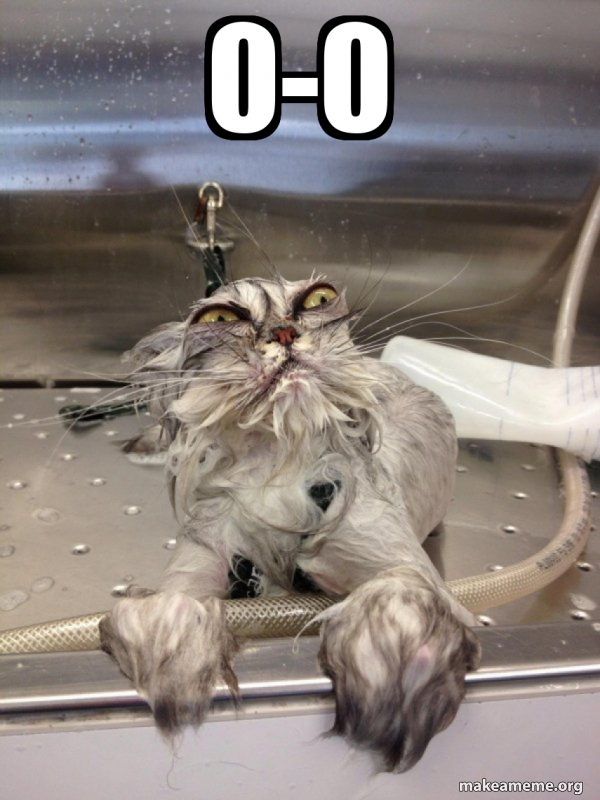 0-0 - Cat Bath Returns Meme Generator