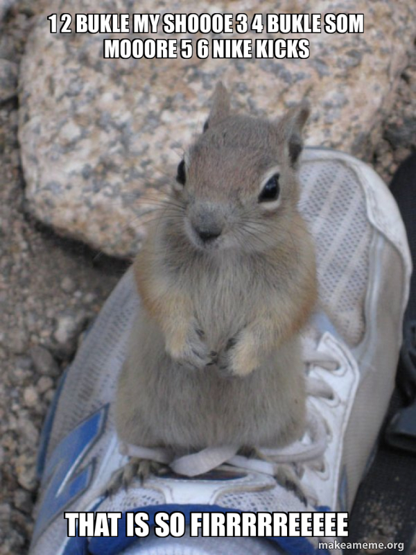 1 2 BUKLE MY SHOOOE 3 4 BUKLE SOM MOOORE 5 6 NIKE KICKS THAT IS SO ...