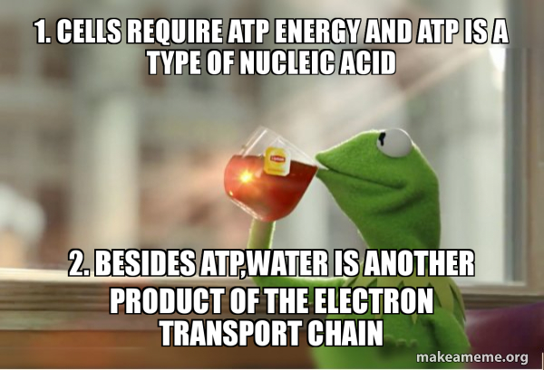 1. cells require ATP energy and ATP is a type of nucleic acid 2 ...