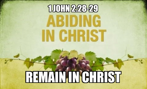 1 john 2:28-29 remain in christ Meme Generator