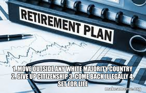 1. move outside any white majority country 2. give up citizenship 3 ...