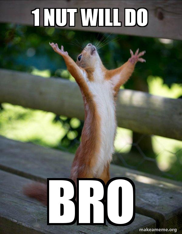 1 nut will do bro - Happy Squirrel Meme Generator