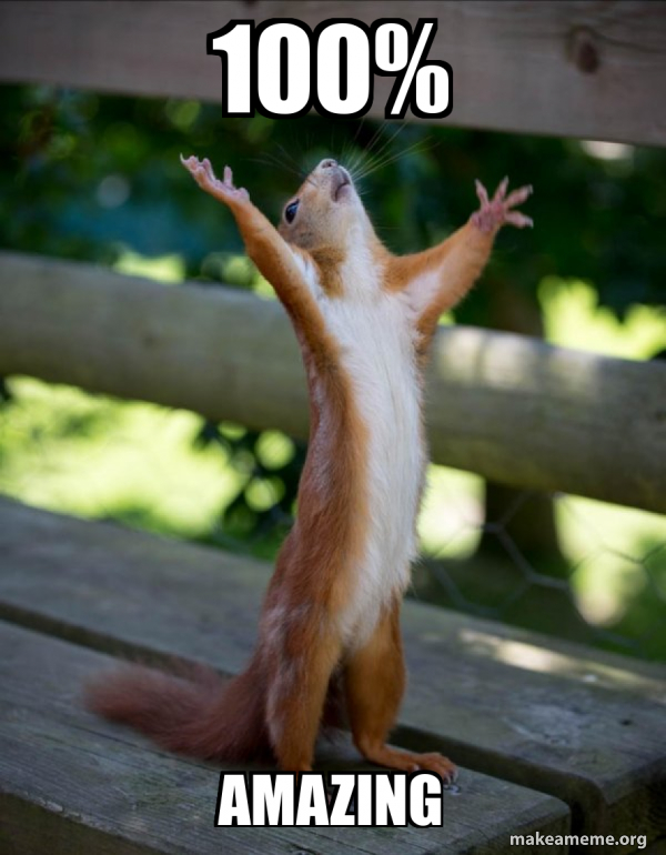 100% AMAZING - Happy Squirrel Meme Generator