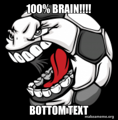 100% BRain!!!! Bottom text Meme Generator