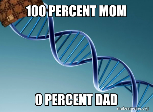 100 percent mom 0 percent dad - Scumbag Genetics Meme Generator