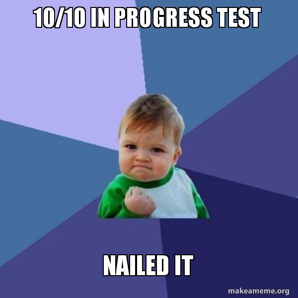 10/10 in progress test Nailed it - Success Kid Meme Generator