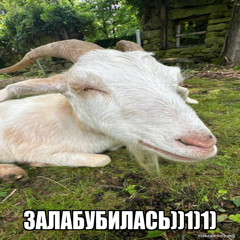 залабубилась))1)1) Meme Generator