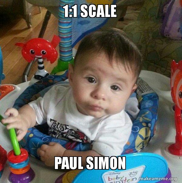 Paul Simon Memes