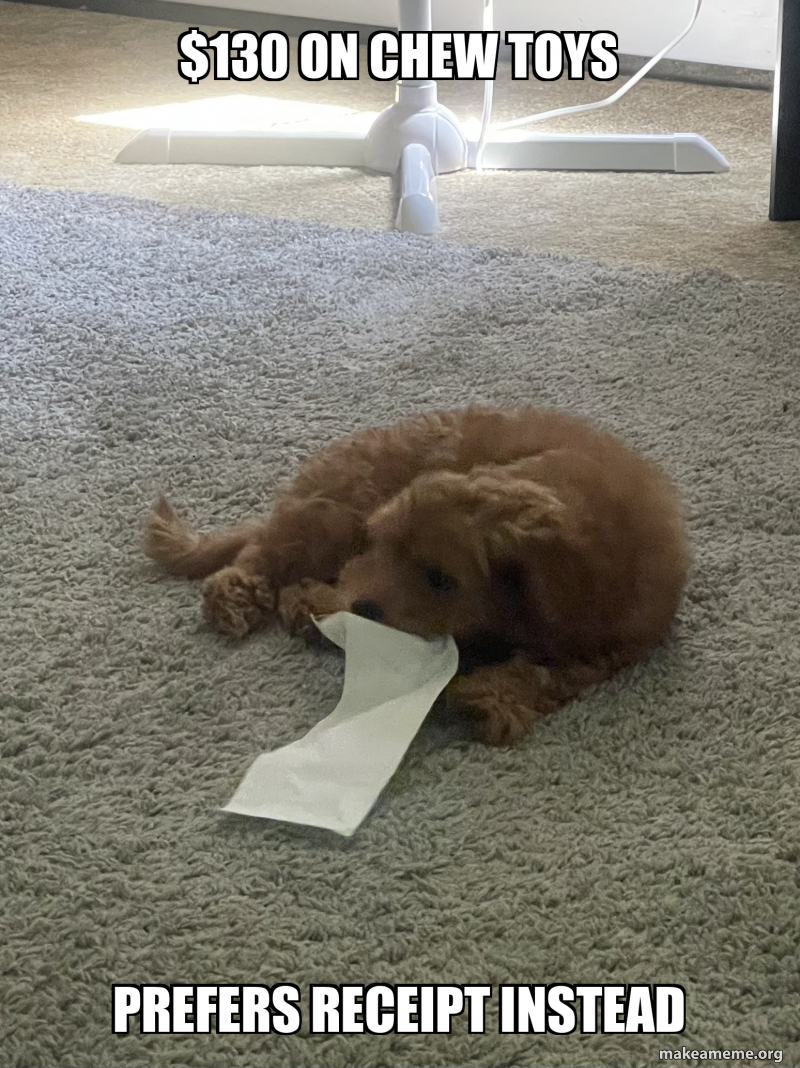$130 on chew toys Prefers Receipt instead Meme Generator