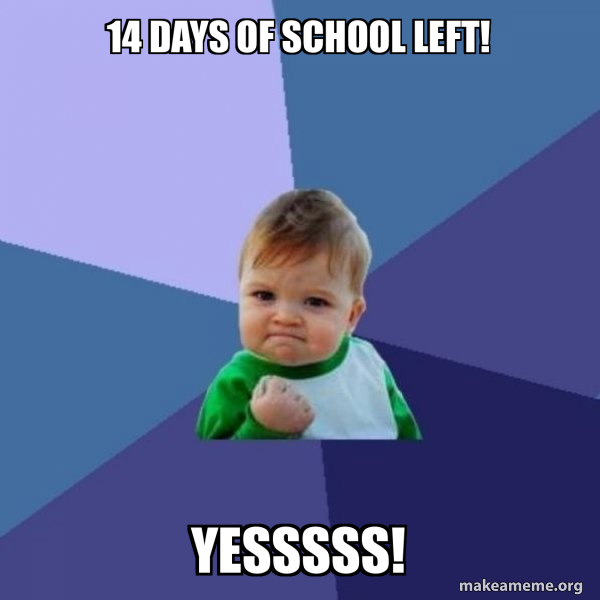 14 days of school left! Yesssss! - Success Kid Meme Generator