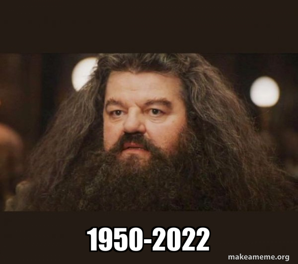 1950-2022 - Hagrid - I should not have said that Meme Generator