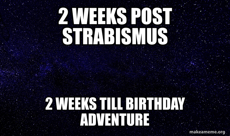 2 weeks post Strabismus 2 weeks till Birthday Adventure Meme Generator