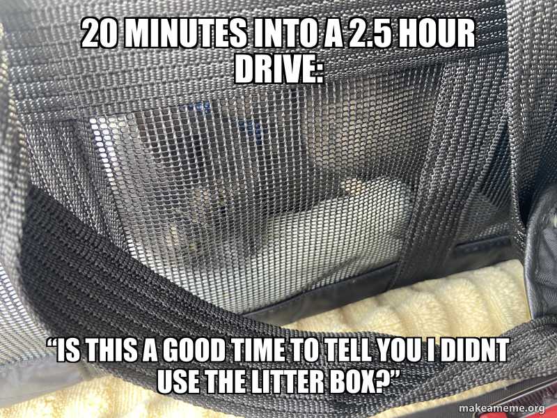 20 minutes into a 2.5 hour drive: “Is this a good time to tell you i ...