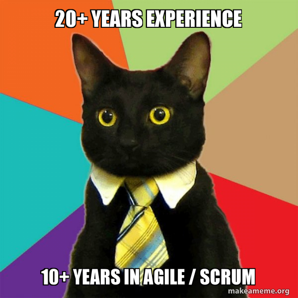 20+ Years Experience 10+ Years in Agile / Scrum - Business Cat Meme ...