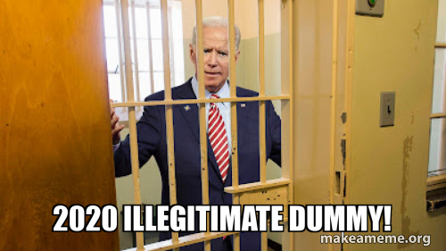 2020 illegitimate dummy! Meme Generator