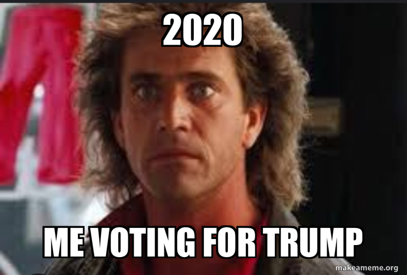 2020 me voting for trump Meme Generator