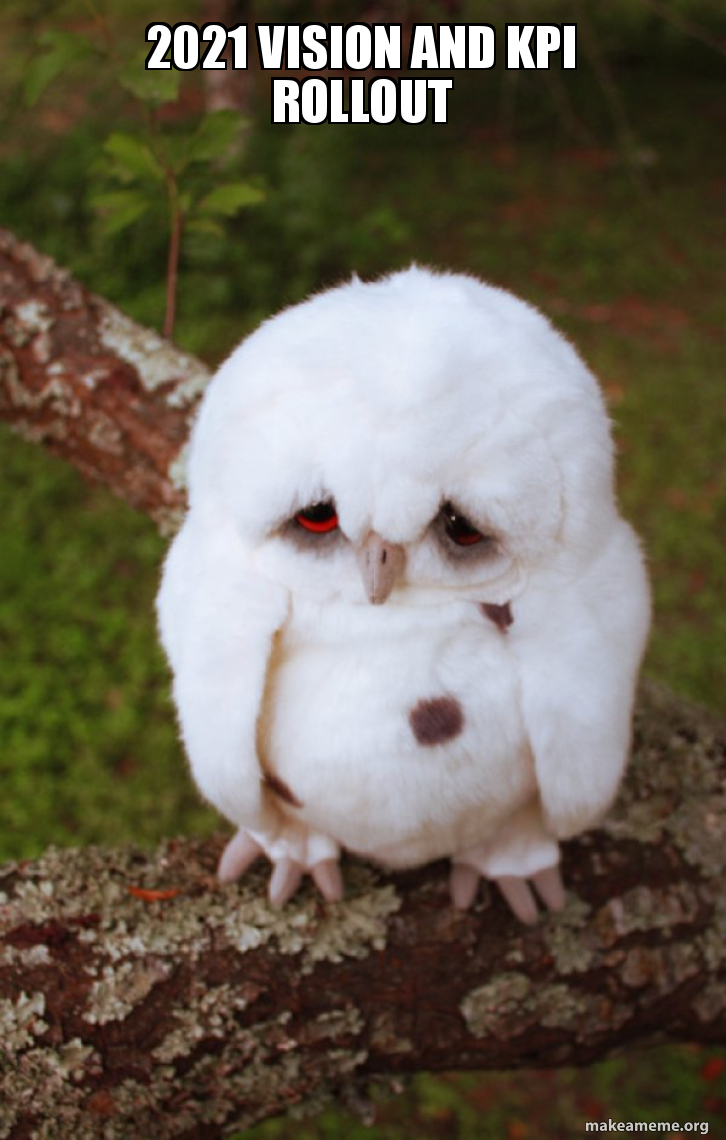 2021 Vision and KPI Rollout - Sad Owl Meme Generator