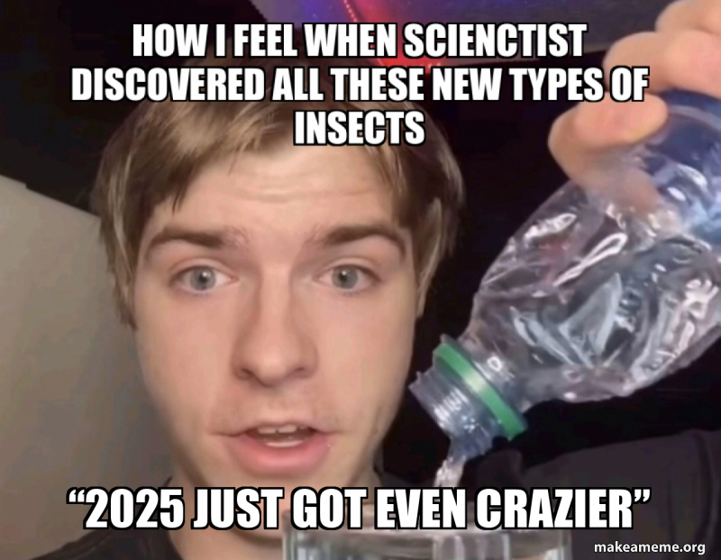 “2025 just got even crazier” Meme Generator