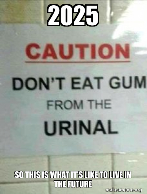 2025 So this is what it’s like to live in the future Meme Generator