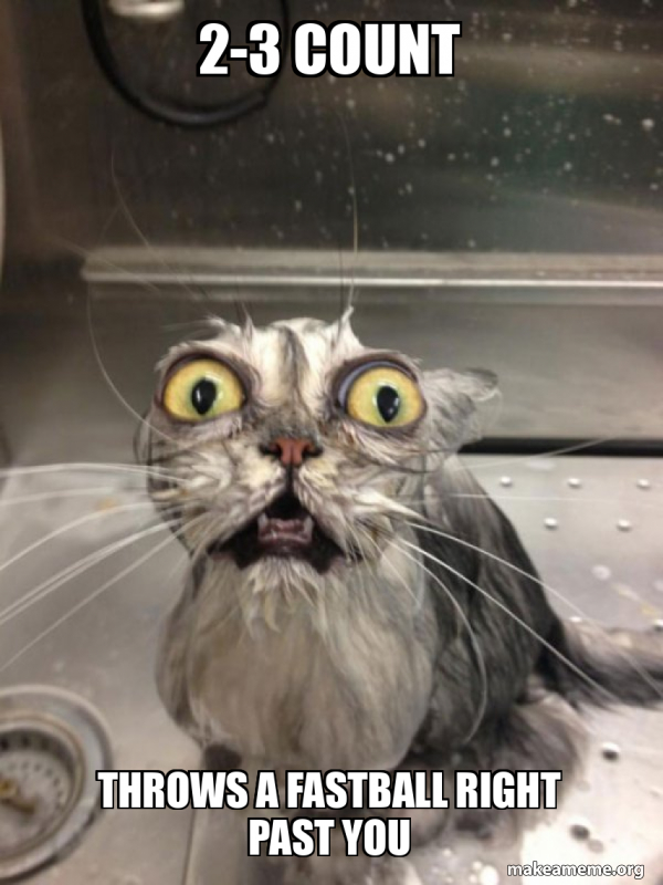 2-3 count throws a fastball right past you - Cat bath Meme Generator