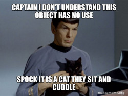 Spock and Cat Meme Meme Generator Template