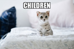 Cute Kitten Meme Generator Template