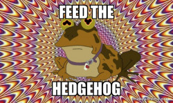 Hypnotoad Meme Generator Template