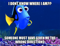 Dory from Nemo (5 second memory) Meme Generator Template