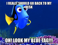 Dory from Nemo (5 second memory) Meme Generator Template