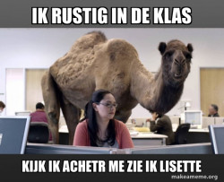 Hump Day Camel Meme Generator Template