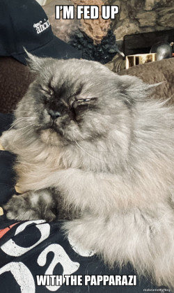 Newest Memes - Page 11