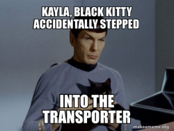 Spock and Cat Meme Meme Generator Template