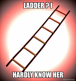 Newest Memes - Page 3