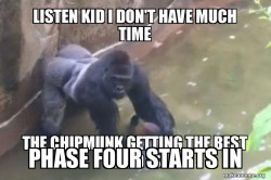 Newest Memes - Page 5