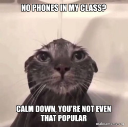 Newest Memes - Page 5