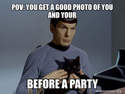 Spock and Cat Meme Meme Generator Template