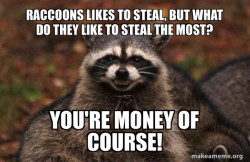 Evil Plotting Raccoon Meme Generator Template