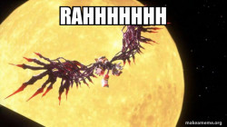 Newest Memes - Page 9