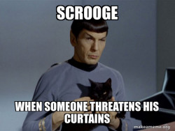 Spock and Cat Meme Meme Generator Template