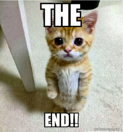 Cute Cat Standing Meme Generator Template
