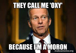 Newest Memes - Page 2