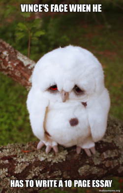 Sad Owl Meme Generator Template