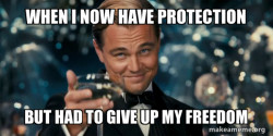 Great Gatsby Reaction - Leonardo DiCaprio Toast Meme Generator Template