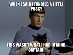 Spock and Cat Meme Meme Generator Template