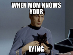 Spock and Cat Meme Meme Generator Template