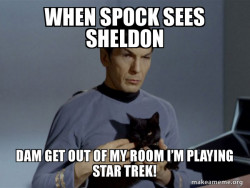 Spock and Cat Meme Meme Generator Template