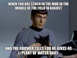 Spock and Cat Meme Meme Generator Template