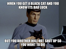 Spock and Cat Meme Meme Generator Template