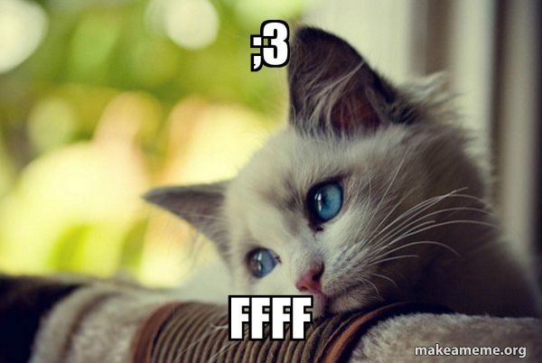 ;3 ffff - First World Cat Problems Meme Generator