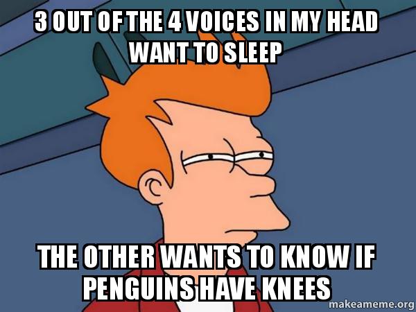 3 out of the 4 voices in my head want to sleep The other wants to know ...